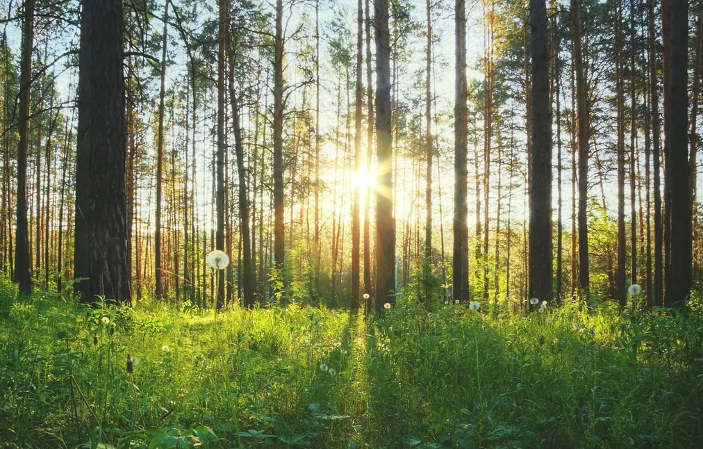 TSR Group | Jobs & Karriere